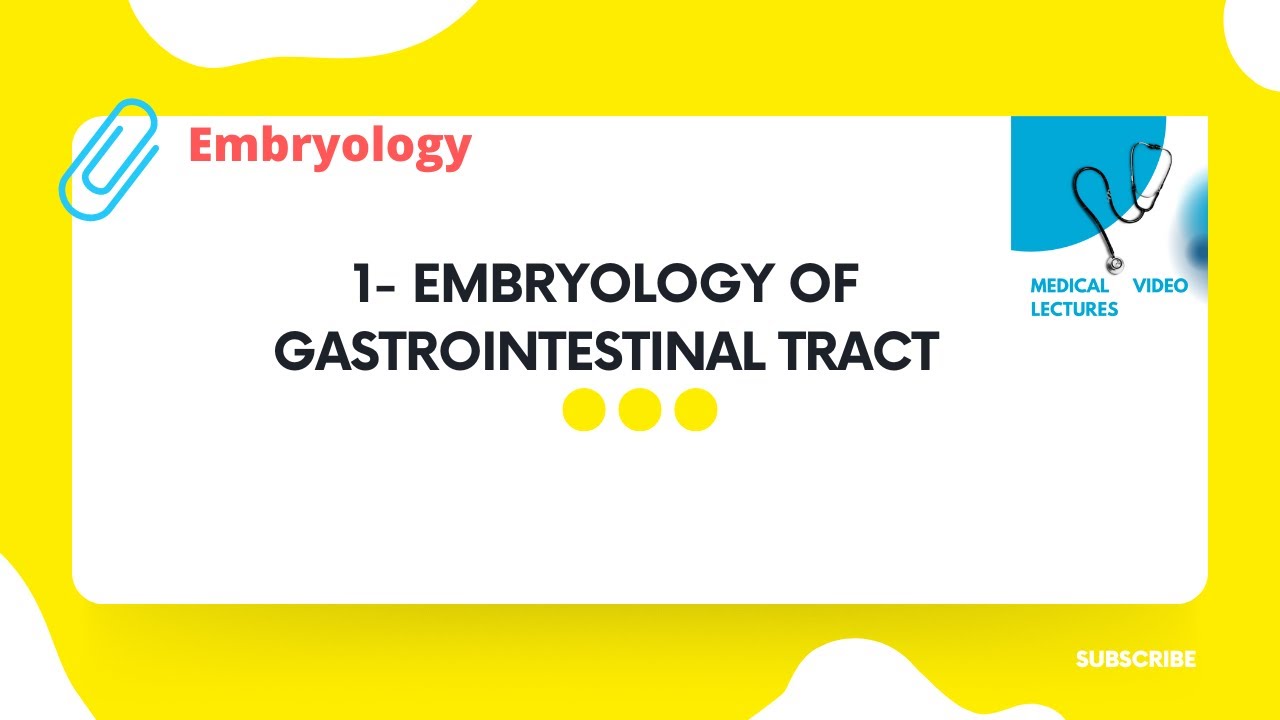 Embryology of Gastrointestinal tract - YouTube