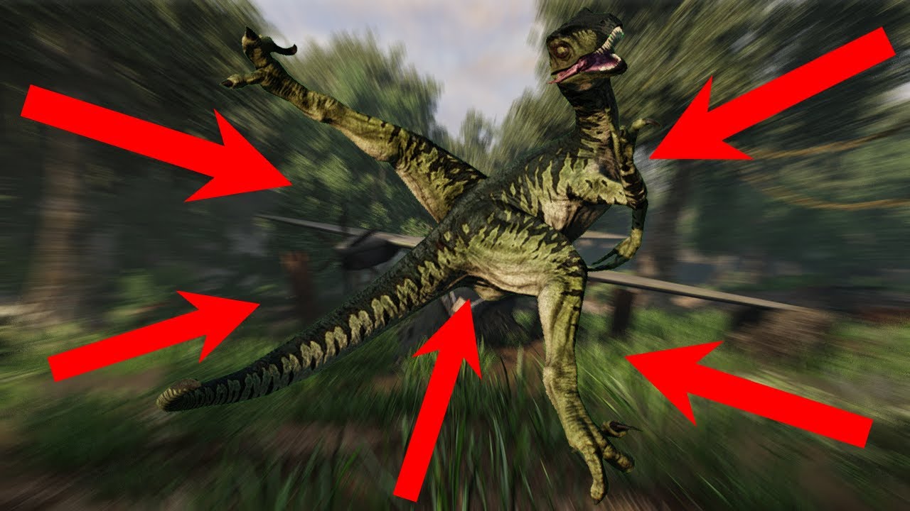 Ragdoll.PCE - YouTube