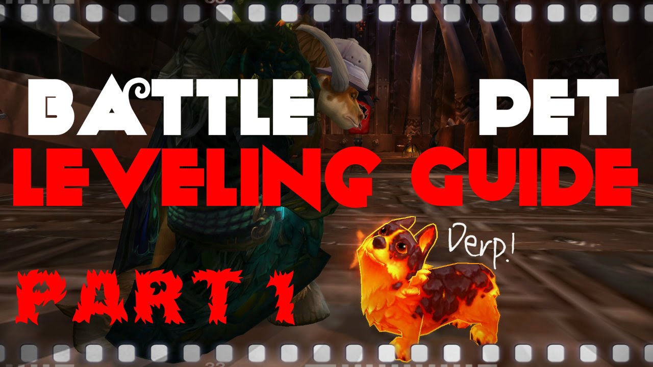 Battle Pet Leveling Guide for Level 90+ [Part 1] - Setting Up - YouTube