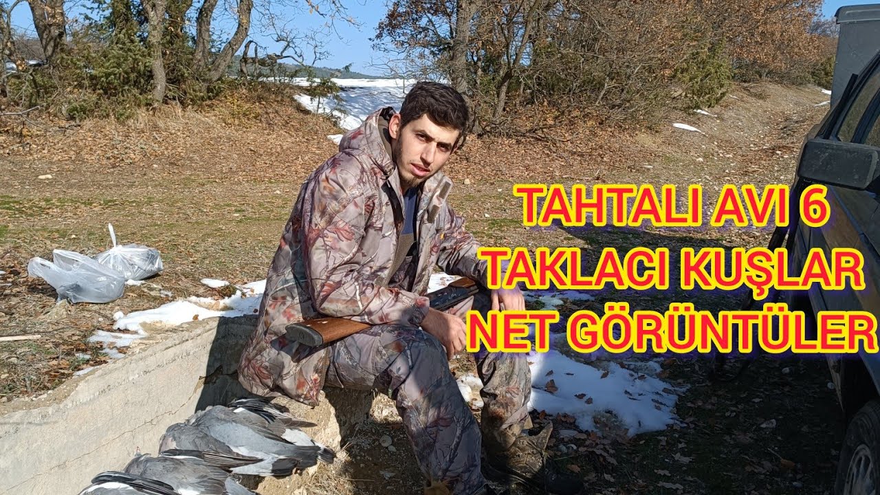 TAHTALI AVI 6 & UÇAR VURUŞLAR & BEST WOOD PİGEON HUNTİNG & ΚΥΝΗΓΙ ...
