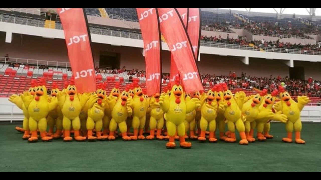 El gollo baile - YouTube