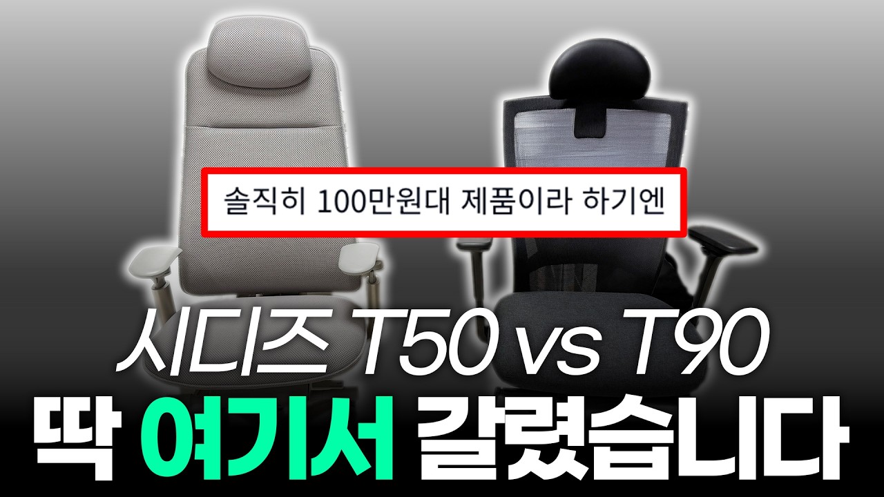 100만원짜리 의자는 뭐가 다를까?? 시디즈 의자 T50 VS T90 비교리뷰‼️ - YouTube
