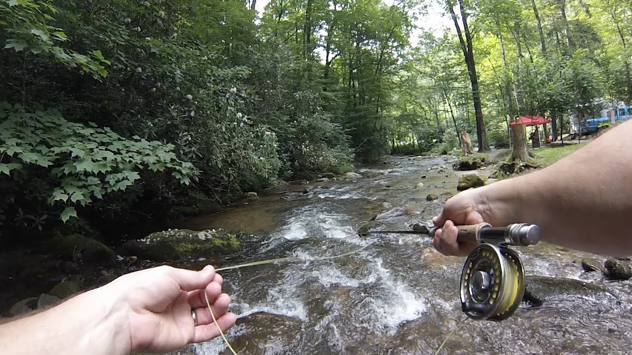 Cherokee Trout Fishing | Bunches Creek - YouTube