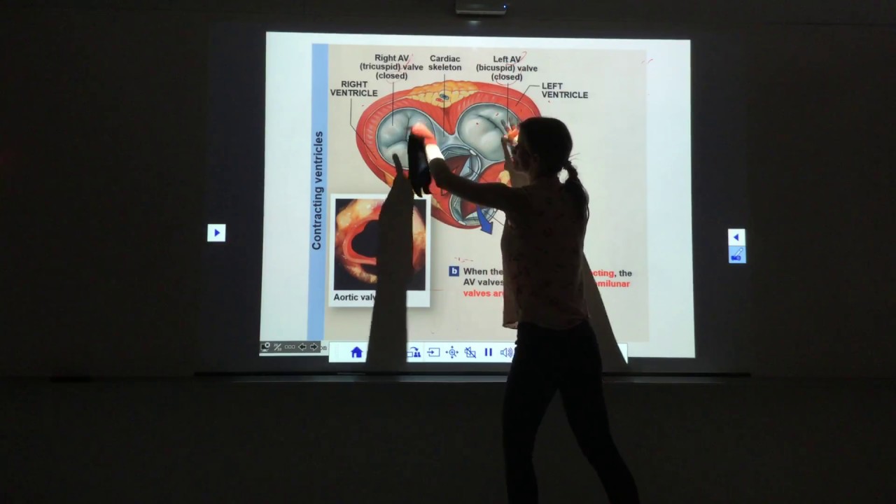 The Heart Part 2.3 - YouTube