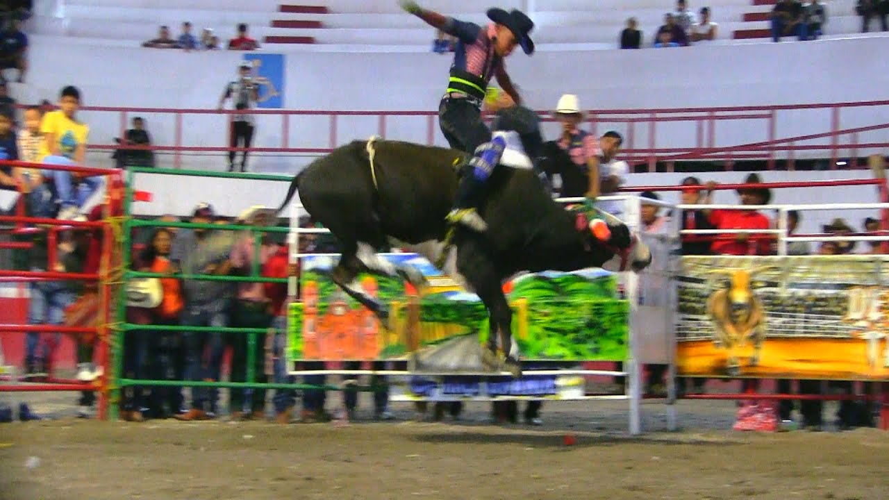 QUE TORADA TAN IMPRESIONANTE // RANCHO EL BERMEJAL ZUMPANGO DEL RIO GRO ...