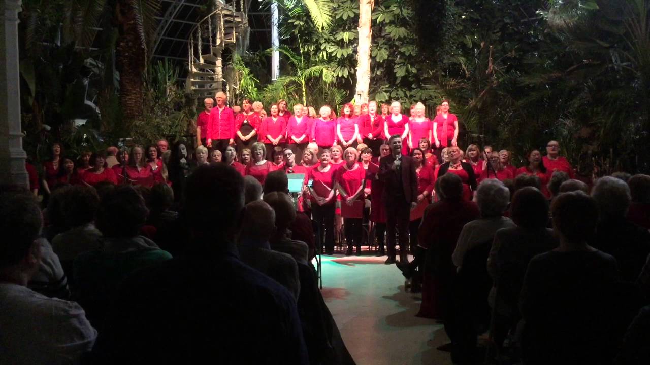 HIGHLIGHTS from the Palm House- Christmas 2015 - YouTube