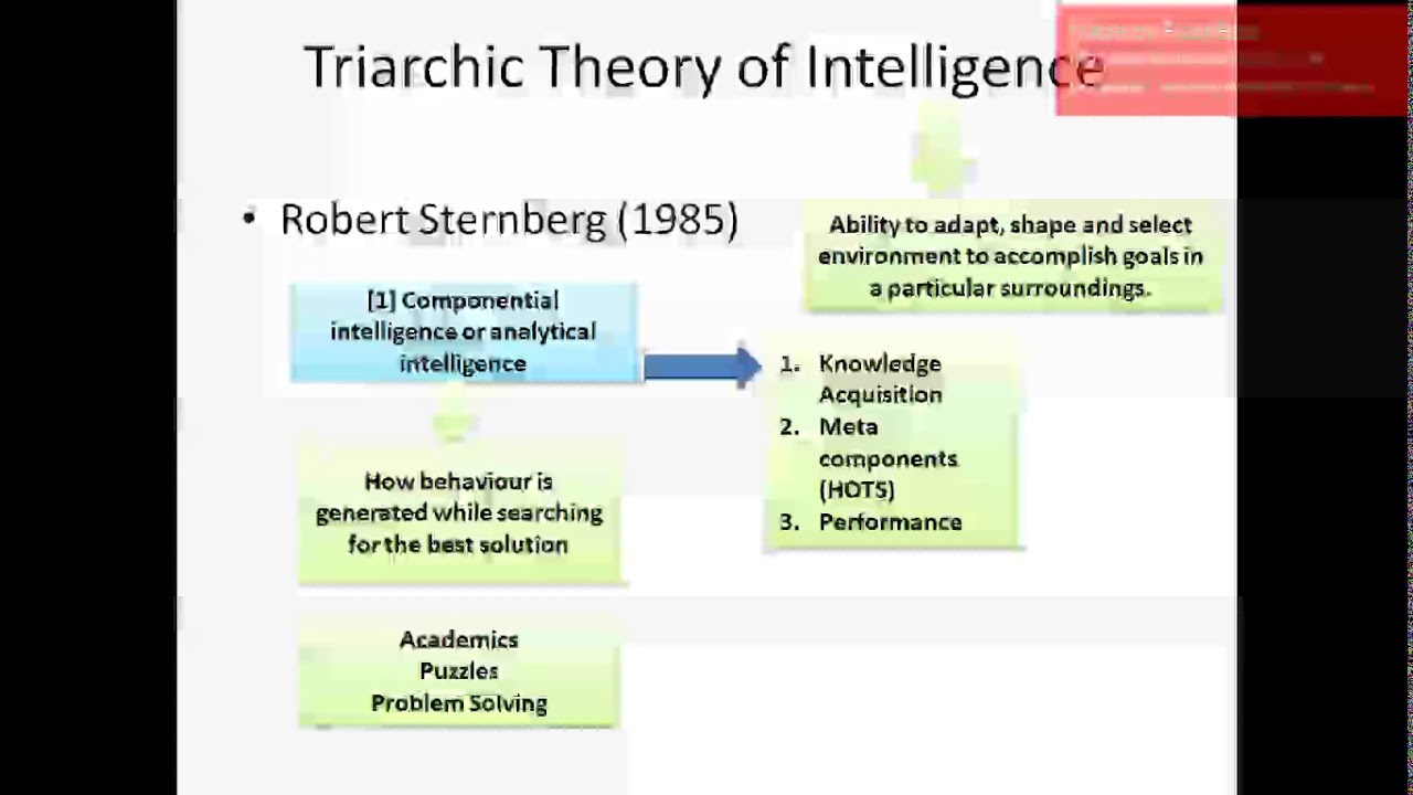 Class XIIth Psychology - Triarchic Theory of Intelligence - YouTube