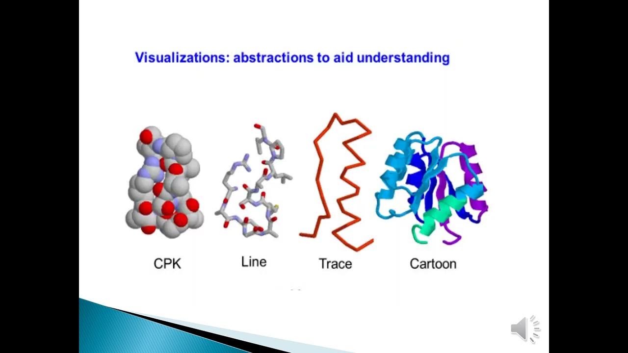 Protein Structure Visualization Tools - YouTube