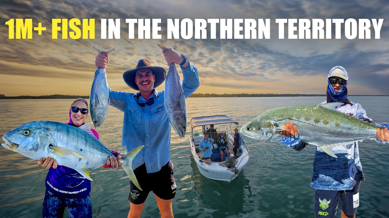 HUGE FISH! Northern Territory EPIC fishing chasing TUNA 1M+ QUEENFISH ...