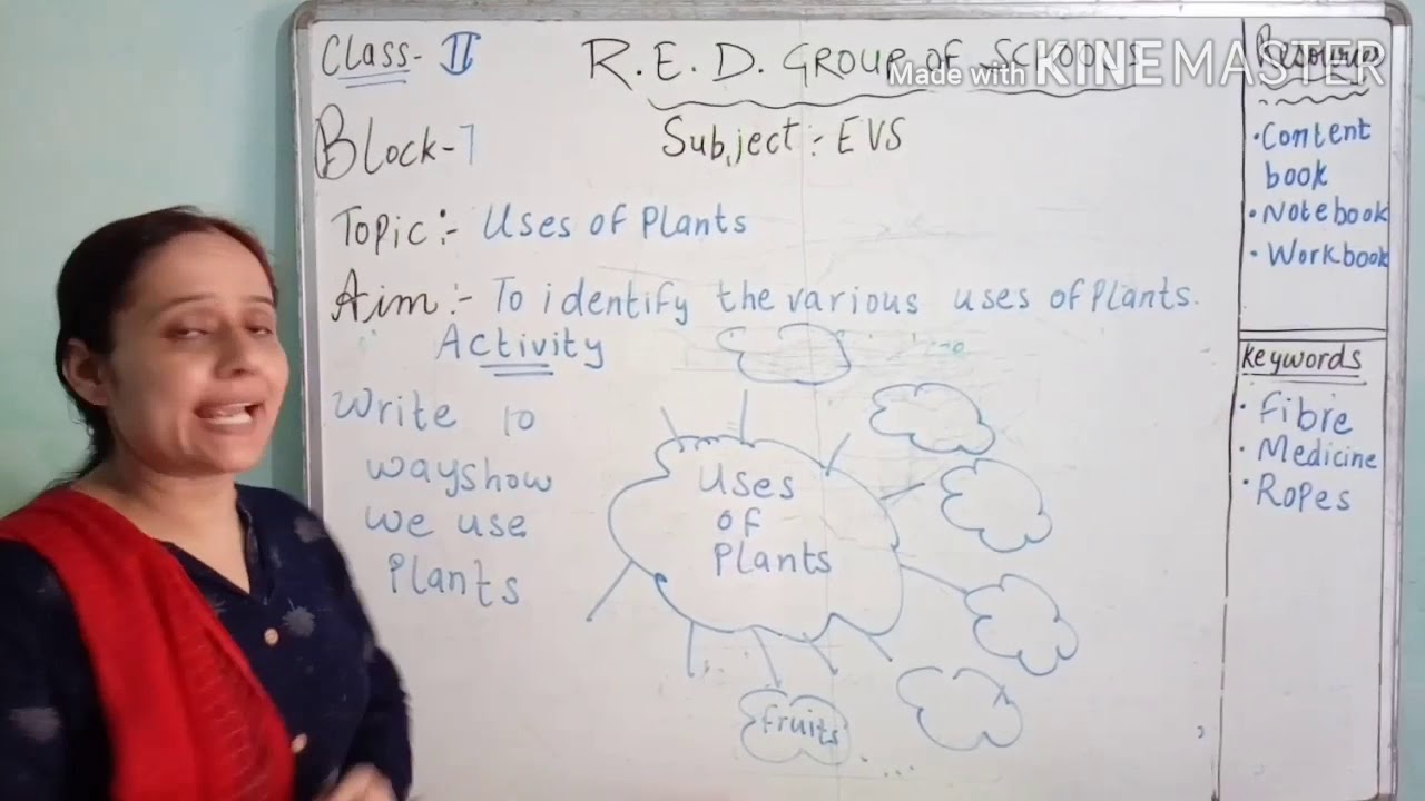 Class-2-Subject-EVS- 4-08-2020-Block-7 - Lesson -1 (Uses of plants ...