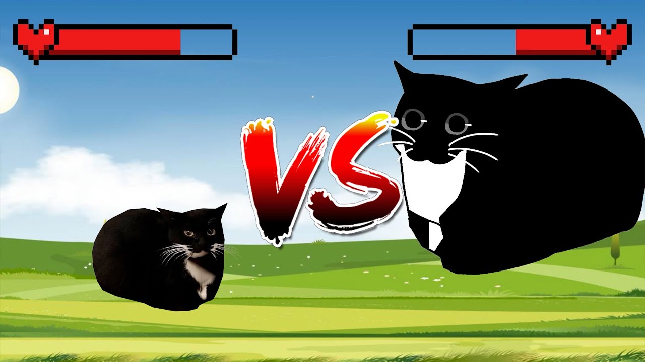 Maxwell Cat vs Maxwell Cat meme video 01 - YouTube