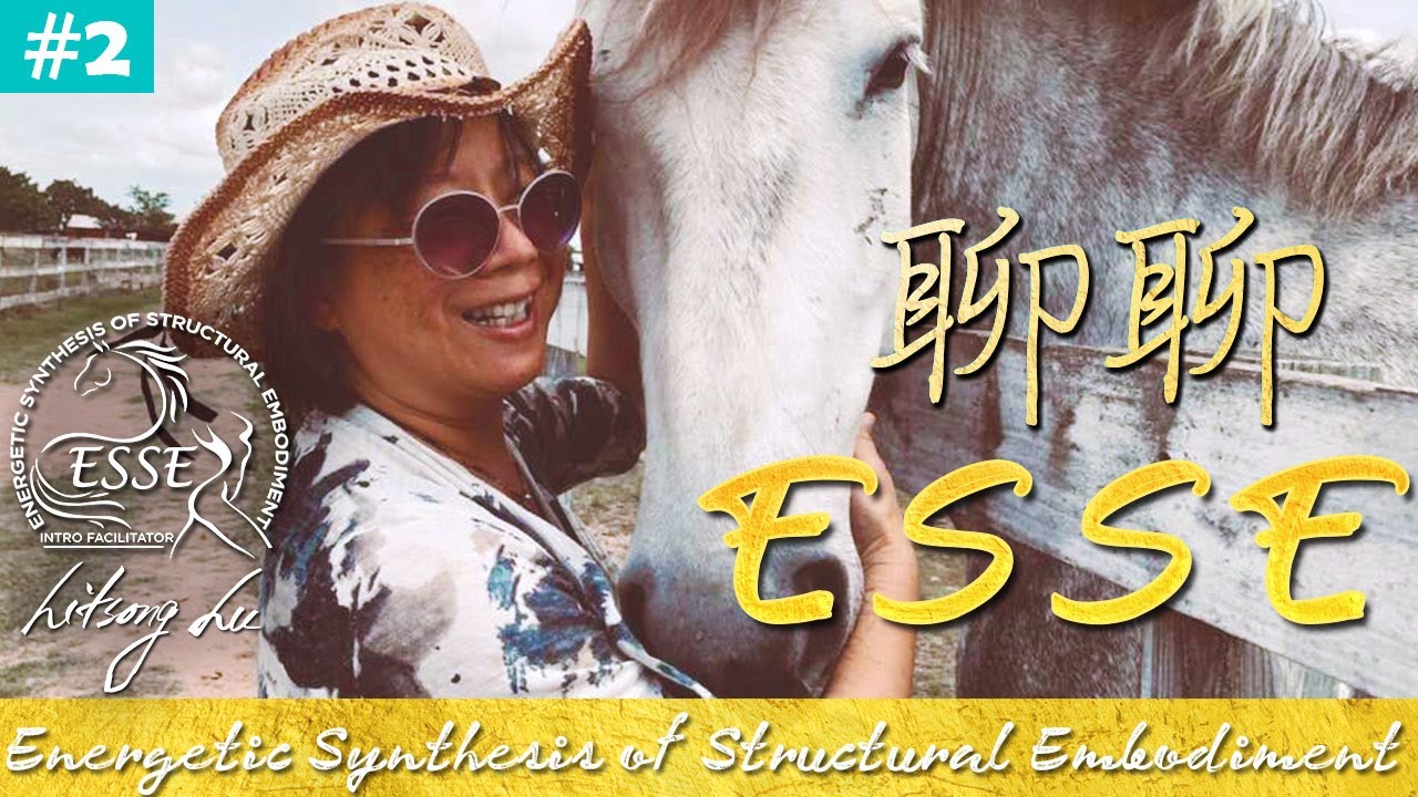 #2聊聊ESSE(Energetic Synthesis of Structural Embodiment) - YouTube