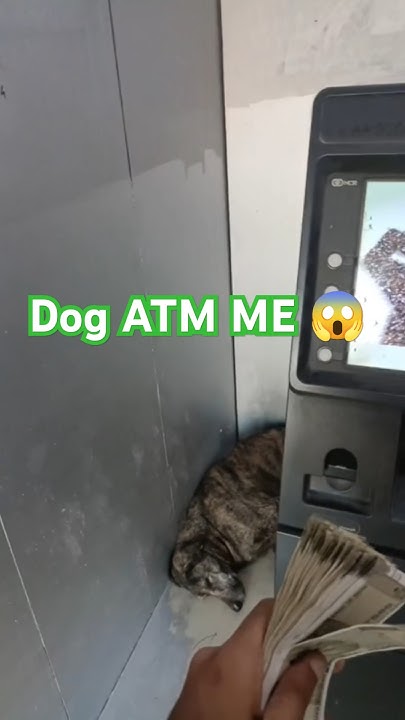 Gog ATM ME #nandedcity #backgroundmusic #dance #royaltyfreemusic - YouTube