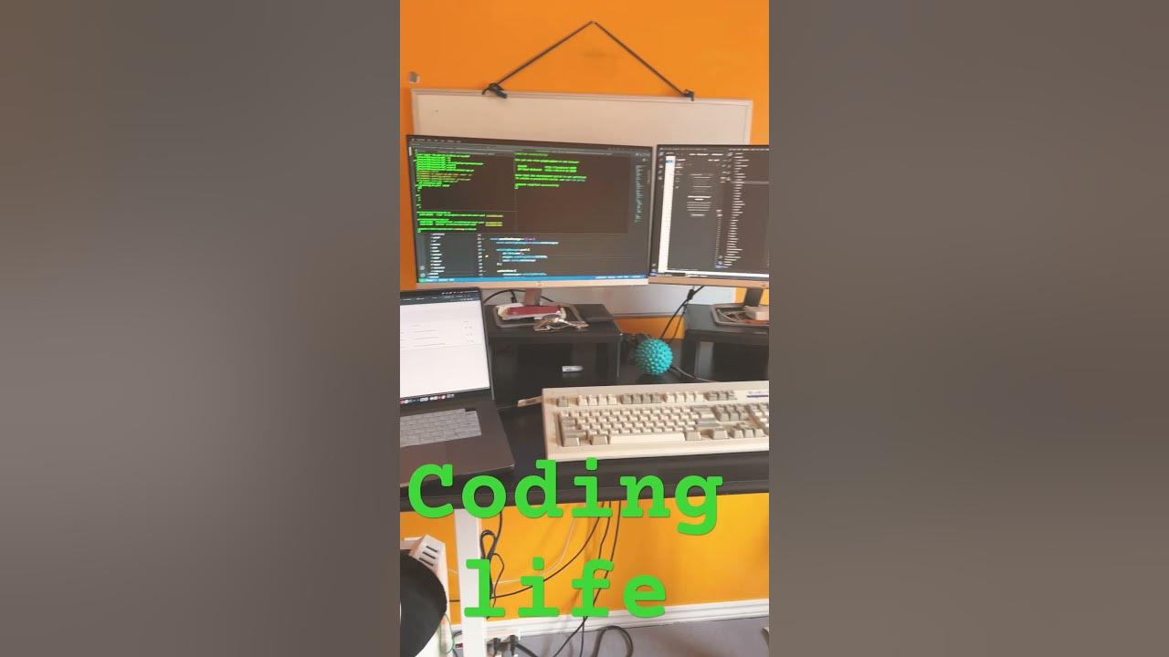 Day in the life of a Programmer #coding #webdevelopment #softwaredeveloper - YouTube
