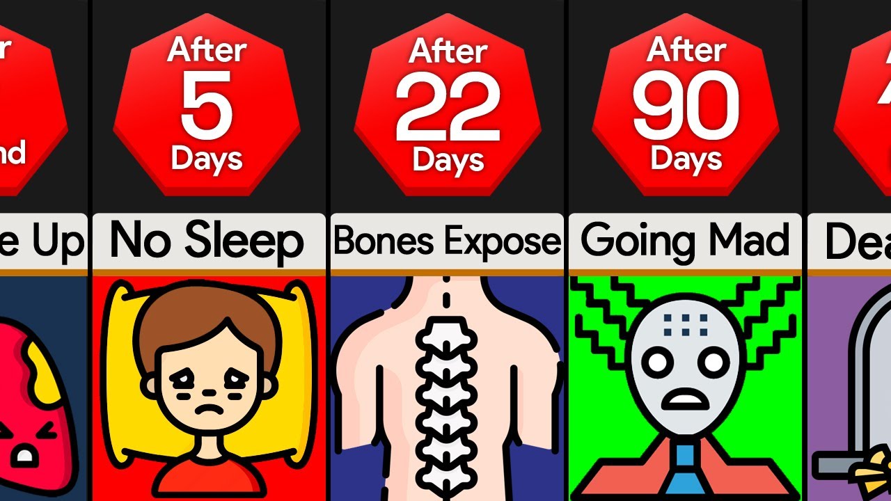 Timeline: What If You Stayed In Bed Forever - YouTube