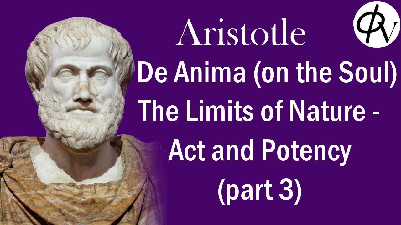 Aristotle, De Anima: Actuality and Potentiality (pt 3) - YouTube