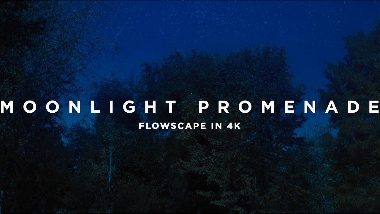 Moonlight Promenade Flowscape in 4K With Music - YouTube
