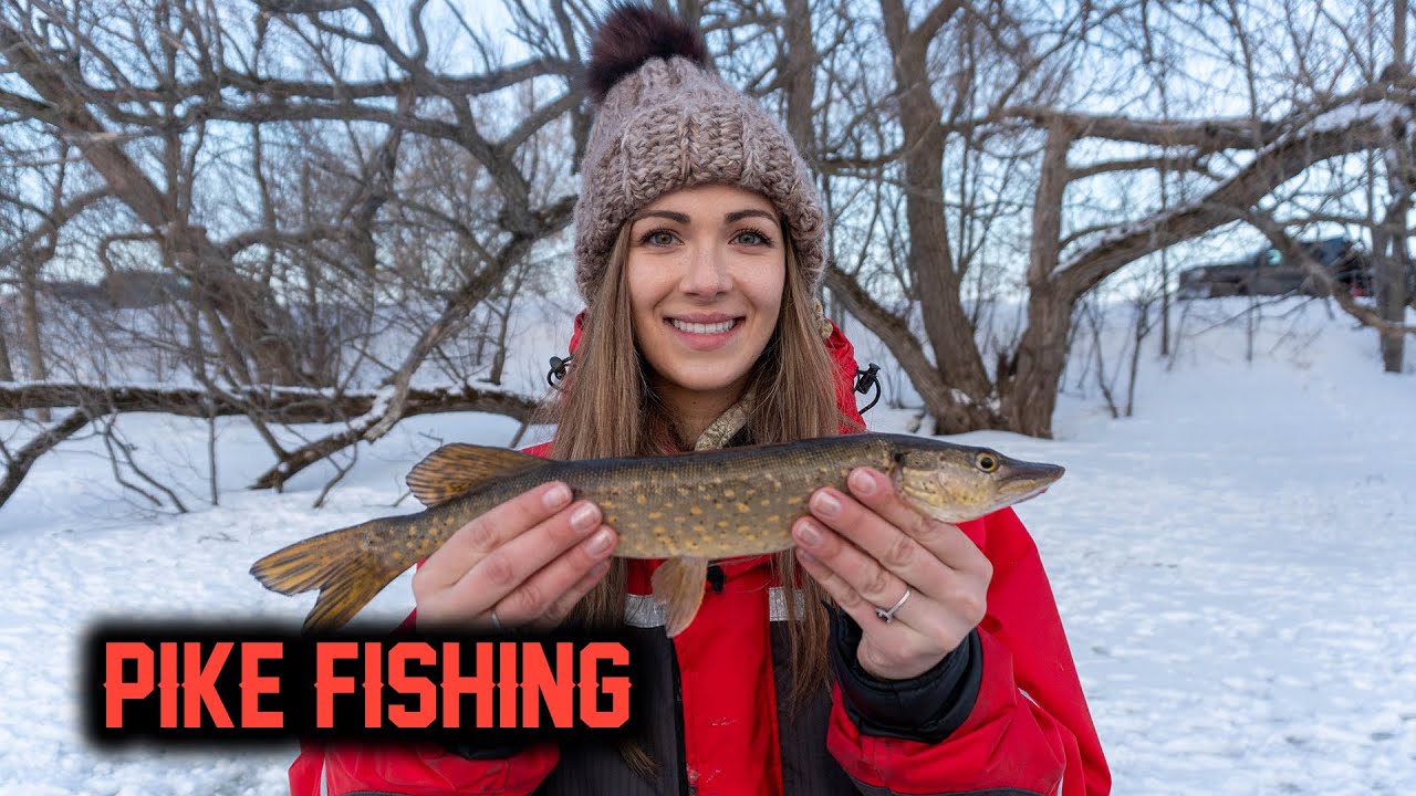 BIG FISH In A SMALL RIVER (Ice Fishing) - YouTube