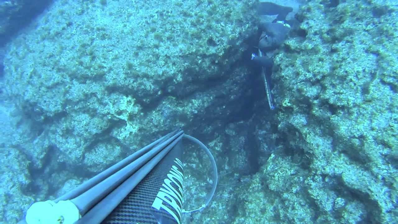 ψαροντουφεκο στα καλα μερη - YouTube