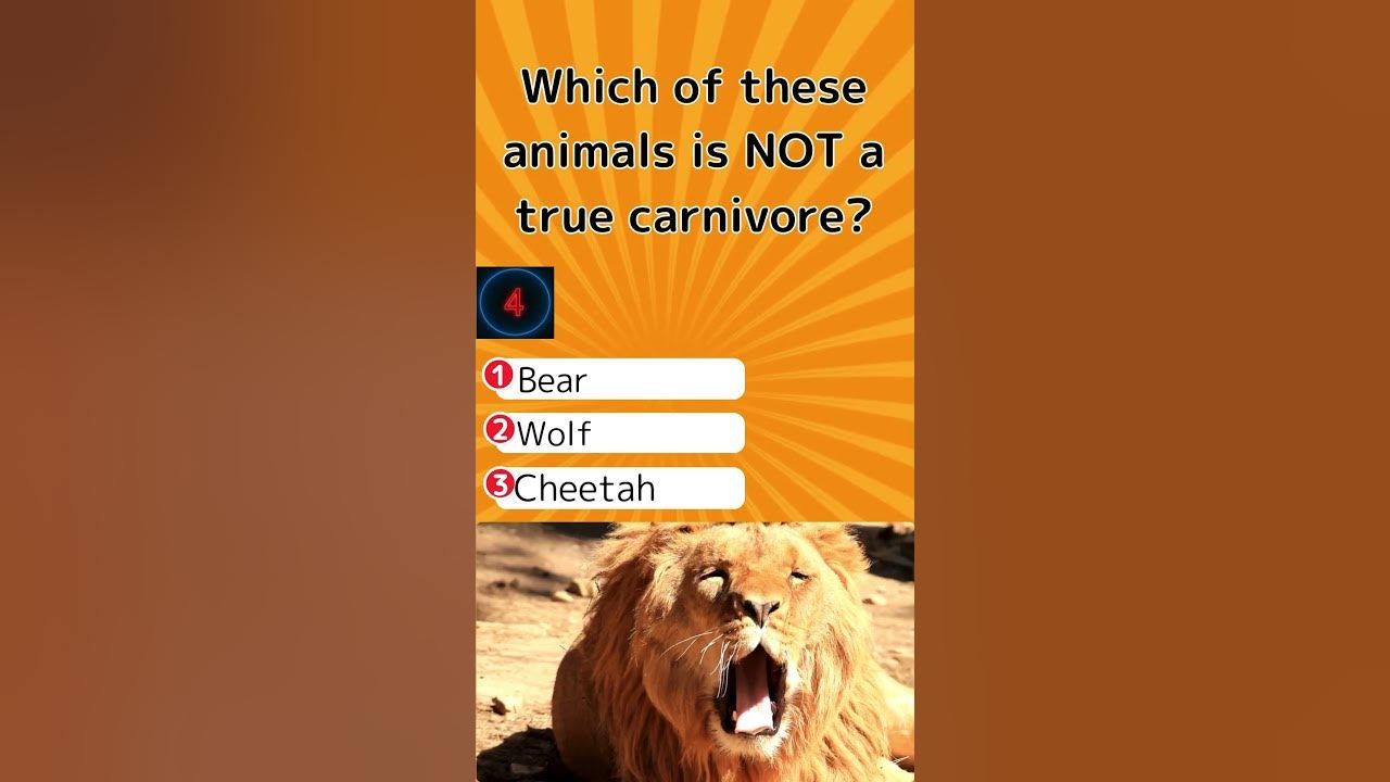 GUESS 10 CARNIVORES 10-second quiz ANIMALS 2-5 #quiz #animals #shorts ...