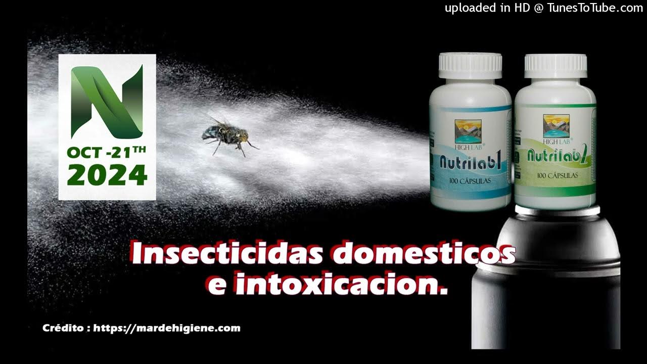2024_10_21 Insecticidas y peligros domesticos - YouTube