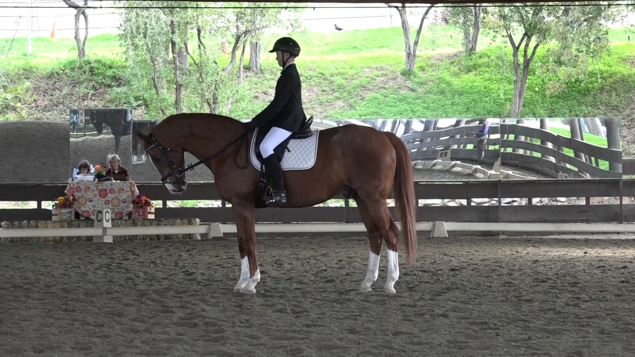 Ardennes & Magnus Loken - 1st Level, Test 3 - ICC Halloween Schooling ...