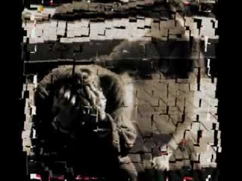 sevgililer günü.avi