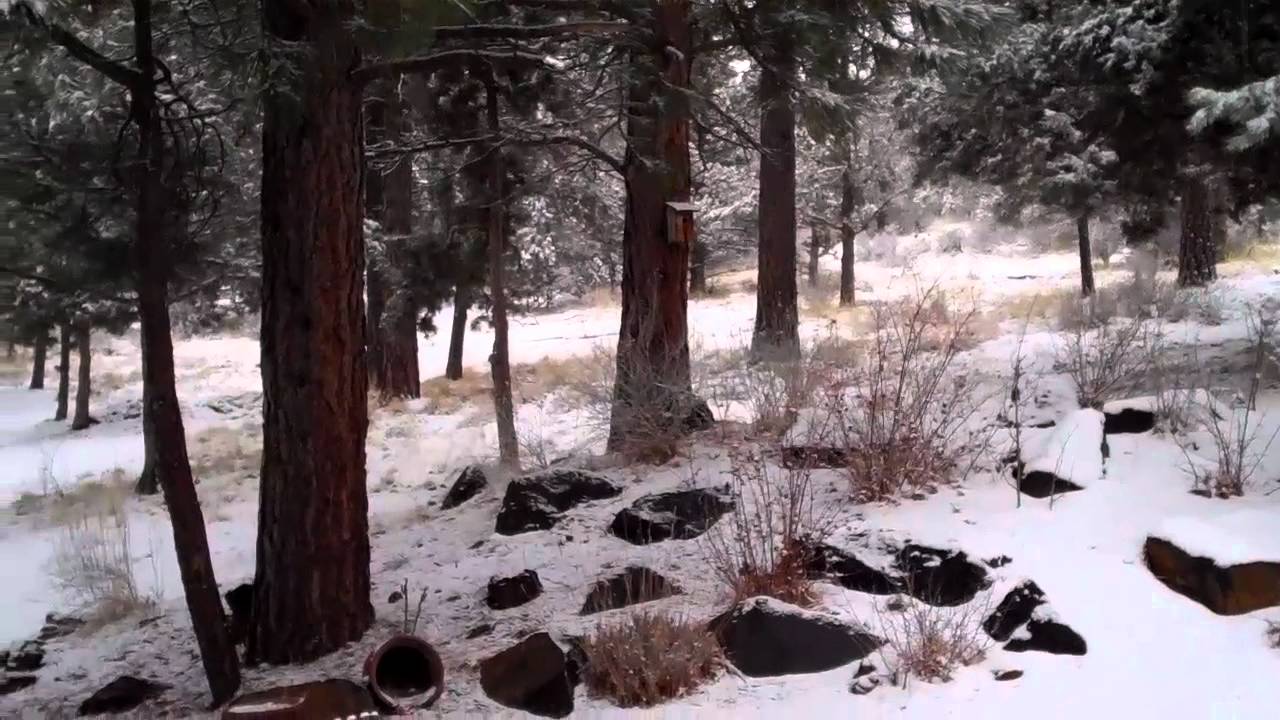 The Second Day of Spring, March 21, 2012 - YouTube