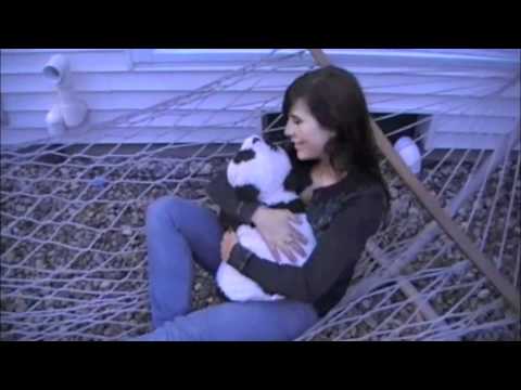 Pillow Pets Commercial - YouTube
