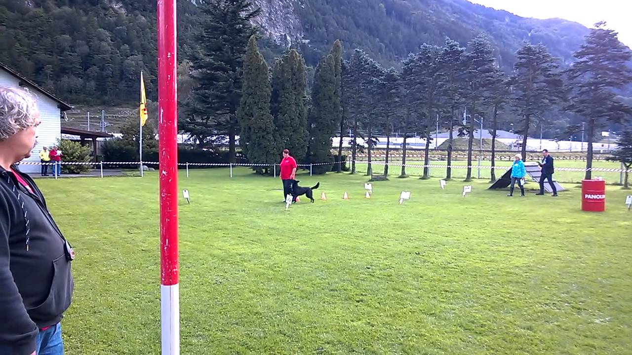 Rally-Obedience - YouTube