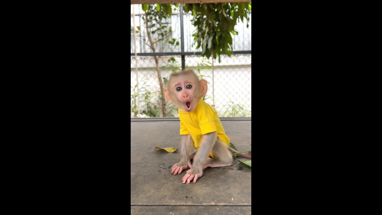 Maddox find peace in his playground - YouTube