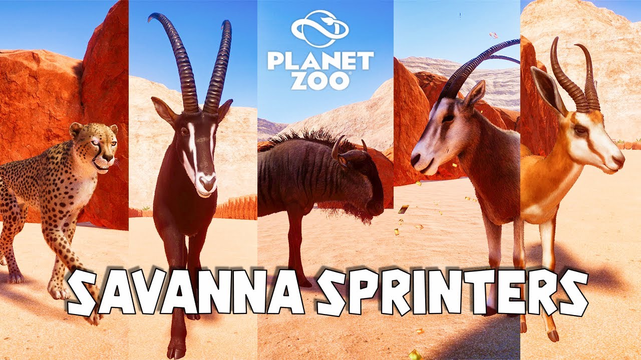 Cheetah, Sable Antelope, Blue Wildebeest, Scimitar-Horned Oryx ...