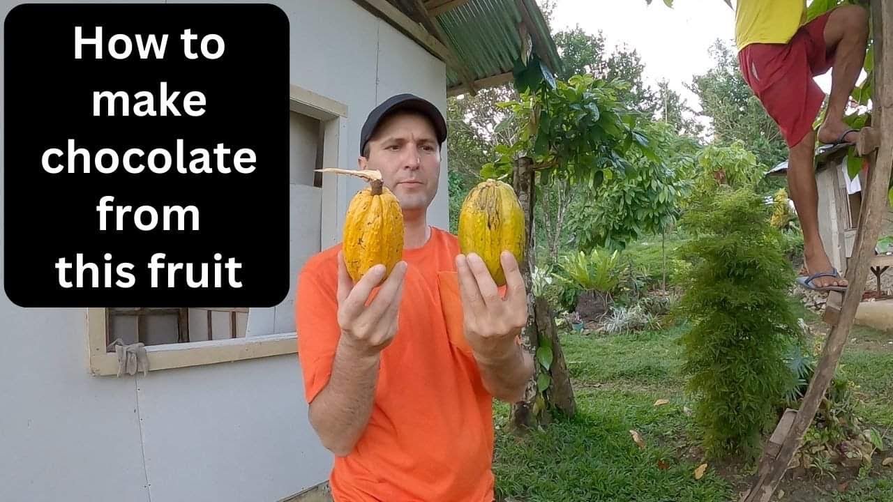 How to make tablea ( chocolate ) from cacao - Province Life Philippines ...