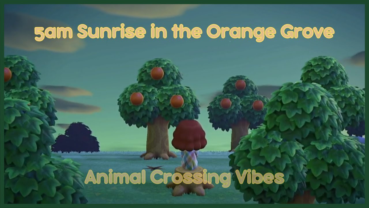 Animal Crossing: New Horizons 5am Music - Peaceful Sunrise in the ...
