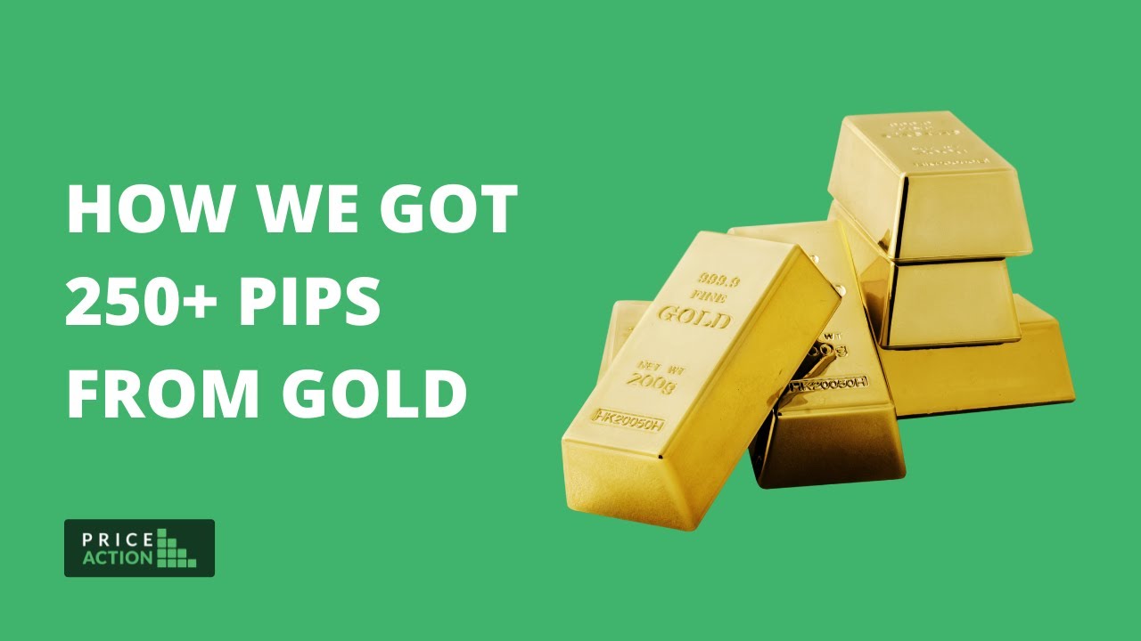 How We Got 250+ Pips From Gold | PriceAction Ltd. - YouTube