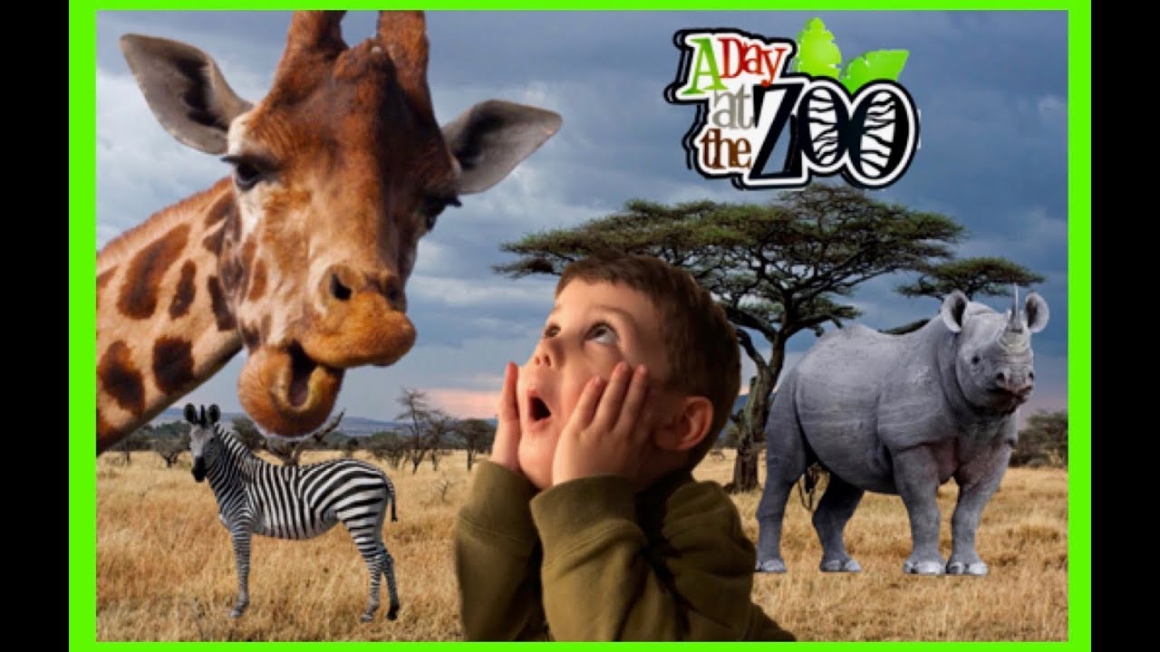Pirate Peyton Goes To The Zoo! | TAMPA BAY LOWRY PARK ZOO | VIDEOS FOR ...