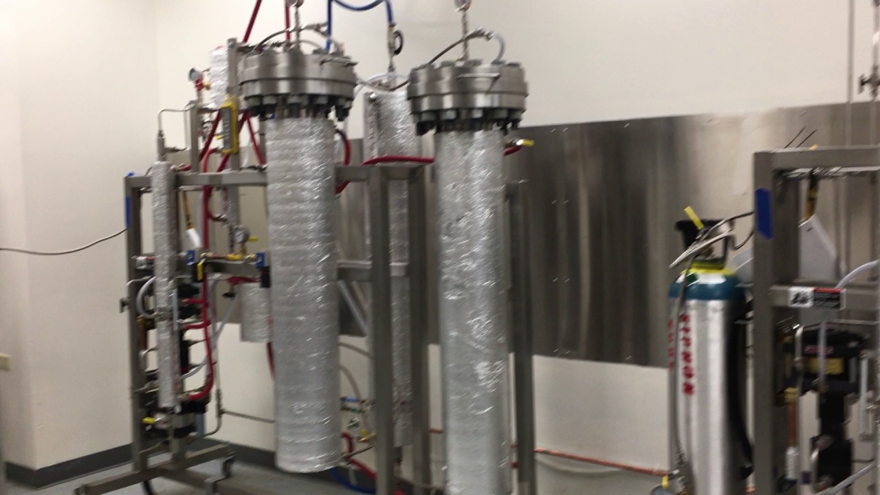 Cannabis oil extraction in Santa Rosa - YouTube