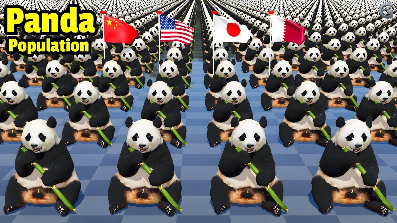 Panda Population by Country 2025 | Comparison Video - YouTube