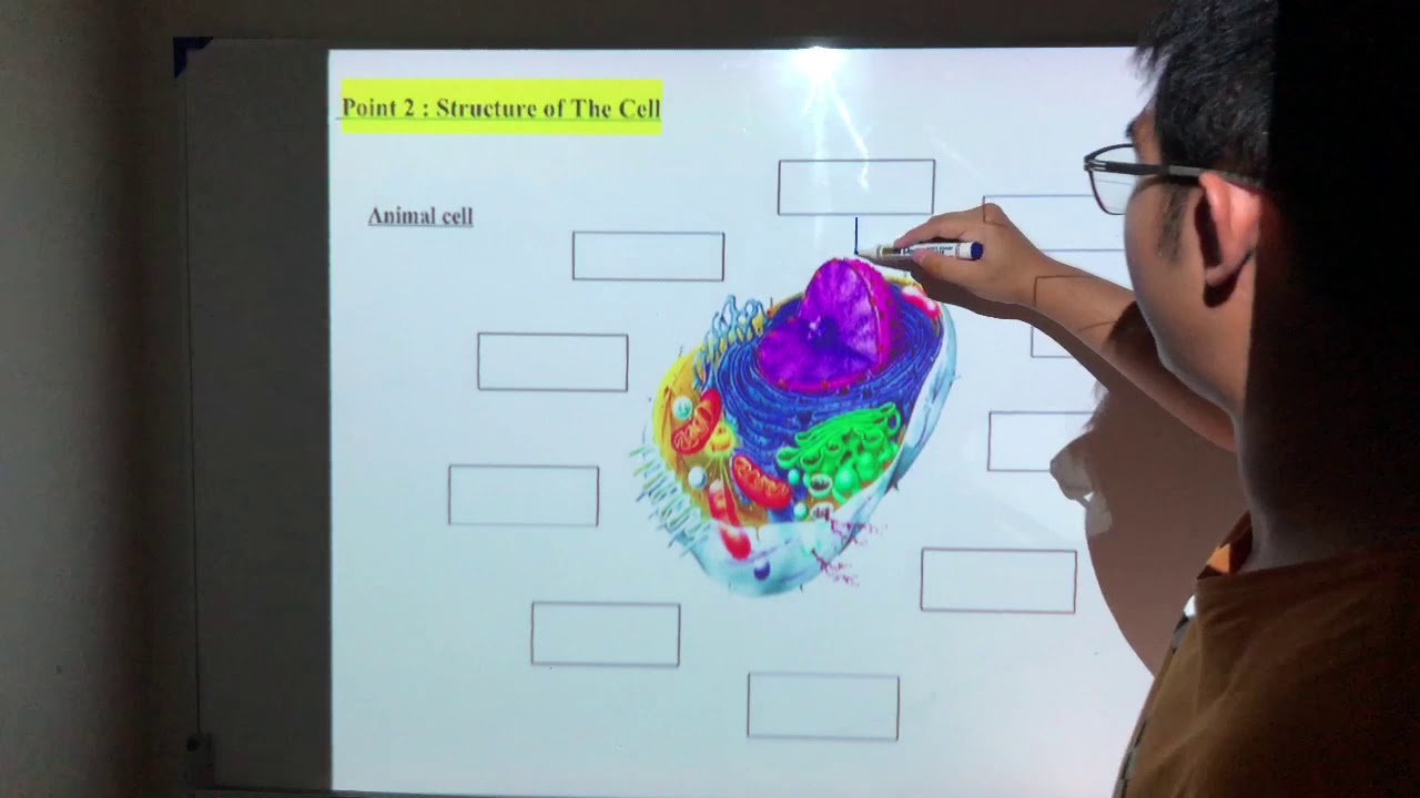 Bio Series - The Cell Series EP.1 - YouTube