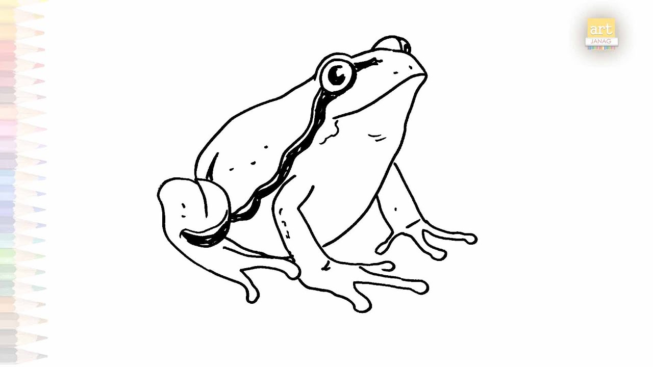 Black line Frog drawing easy | Art tutorial | How to draw an Frog step ...