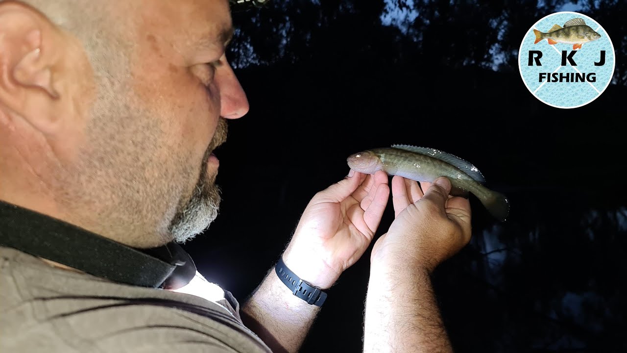 Catching my first ever River Blackfish - YouTube