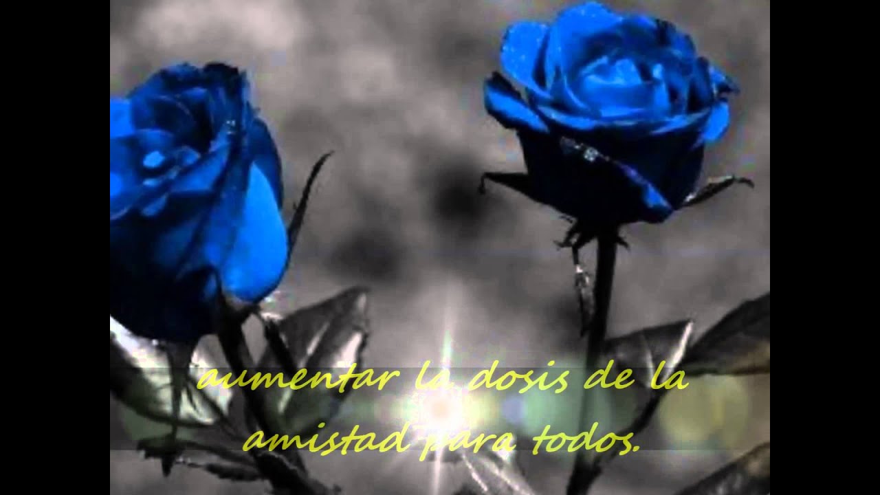 La rosa azul, la amistad - YouTube