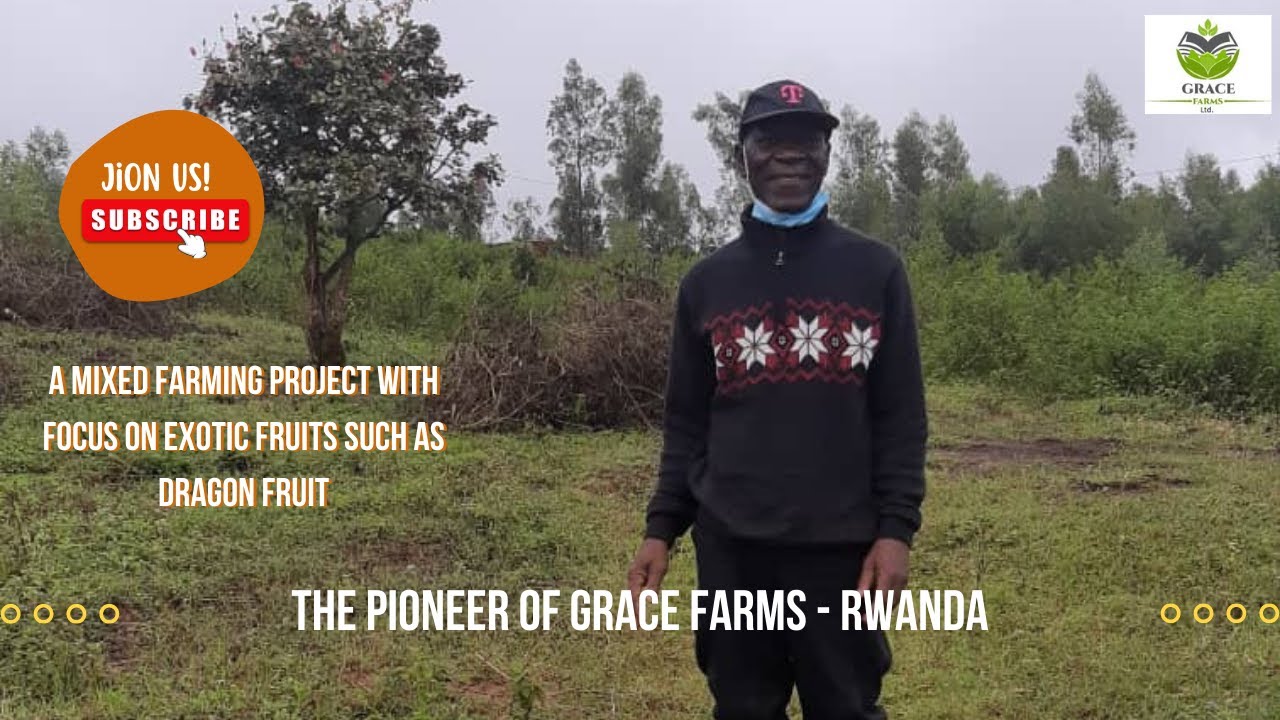 The Pioneer of Grace Farms - Rwanda | Dragon Fruits - YouTube