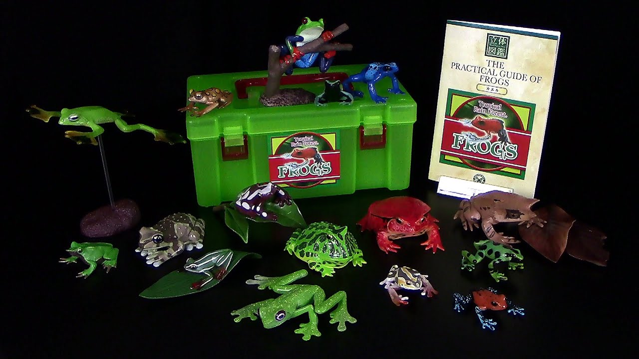 Colorata ® Tropical Rain Forest ® Frogs / Tropische Frösche - Teil 5 ...