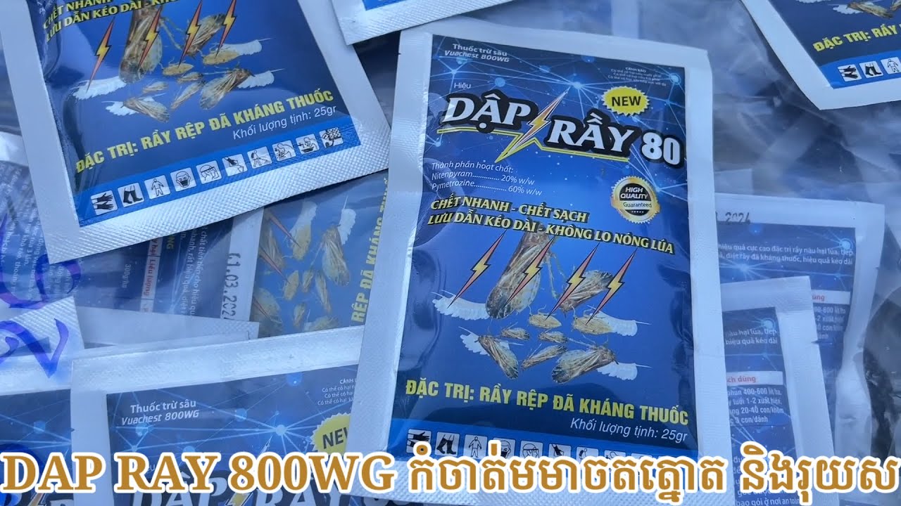 DAP RAY 800WG កម្ចាត់មមាចត្នោត និង រុយស កម្ចាត់បានទាំងមេទាំងពង ...