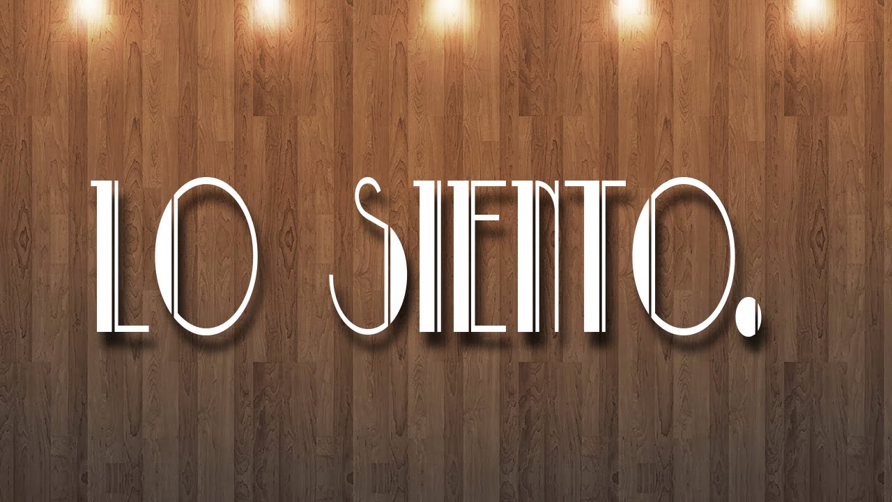 Lo Siento In English