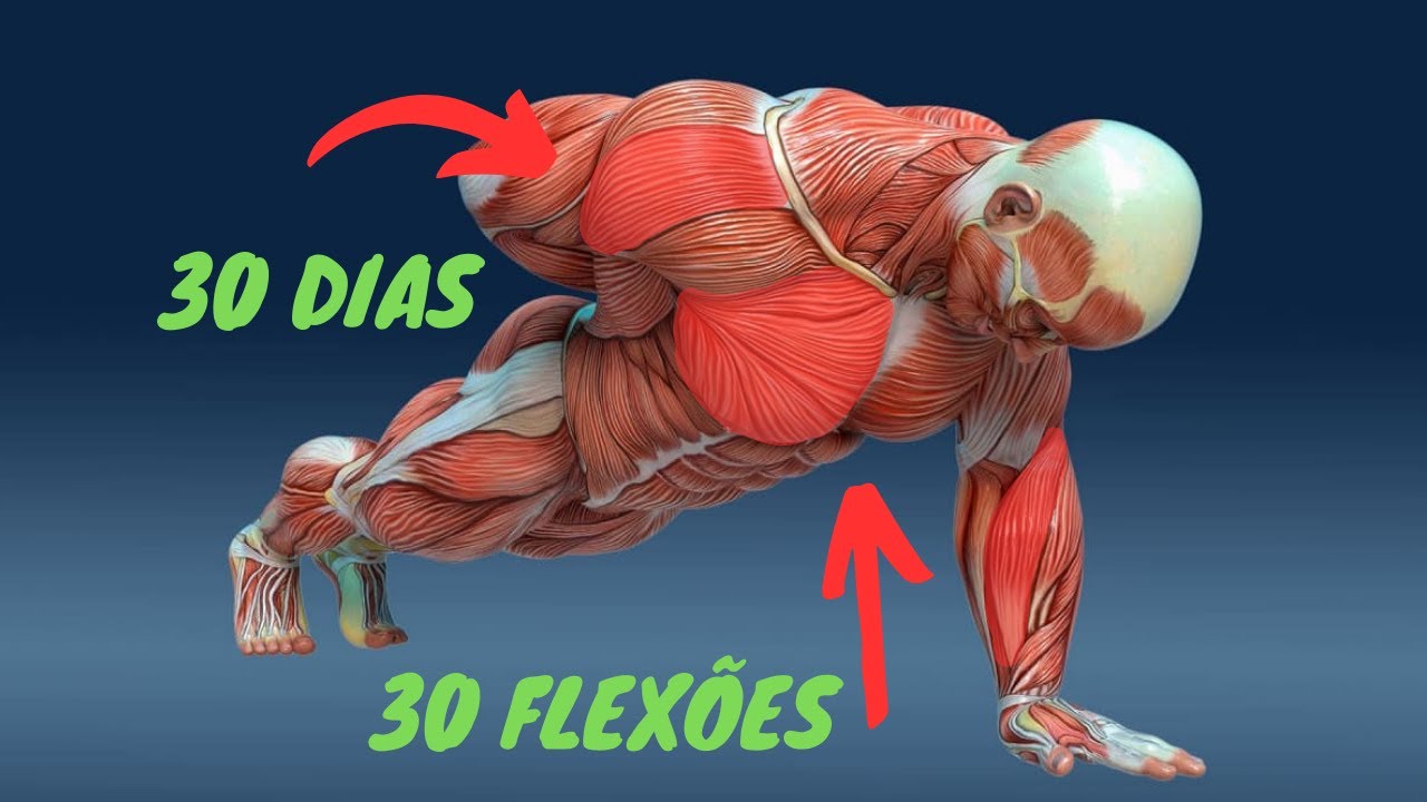 O Que Acontece Com Seu Corpo Fazendo 30 Flexões Todas Os Dias? - YouTube