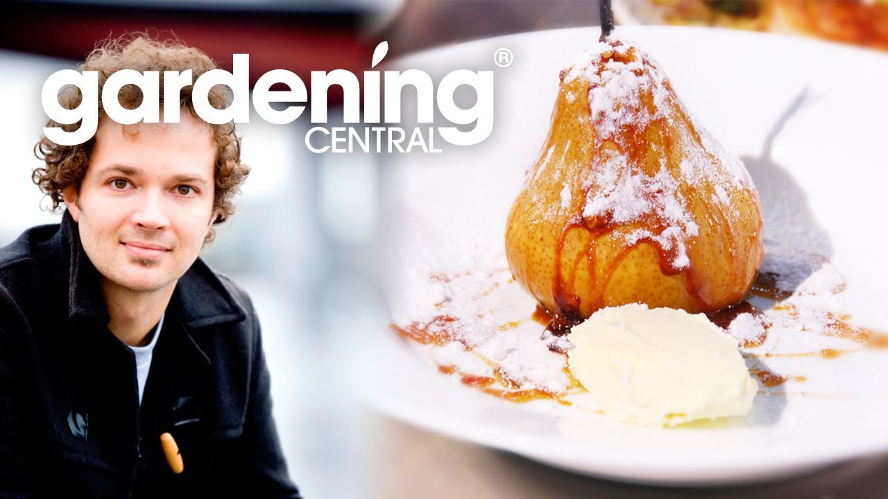 Tobie Puttock Recipes - 3 course meal: Pork Chops, Orecchietti, Pear ...