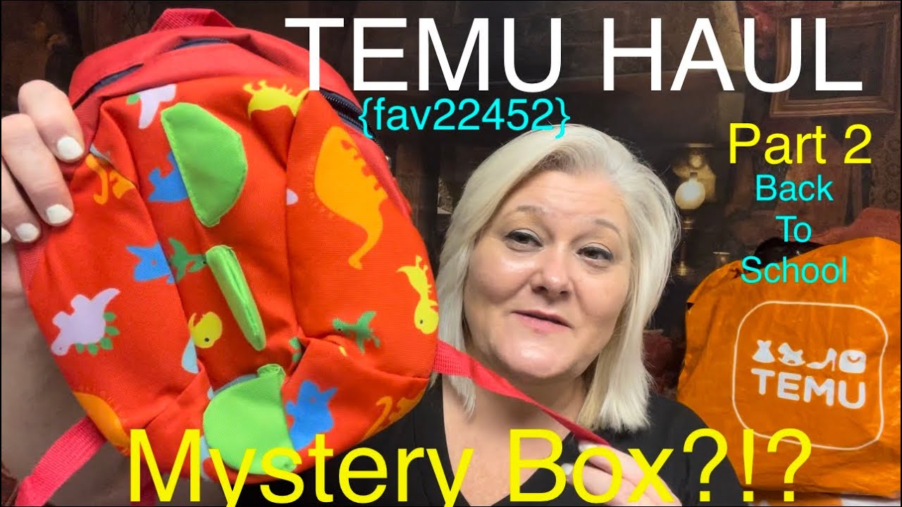 TEMU MYSTERY BOX HAUL 🤔- Part 2 BACK TO SCHOOL - YouTube