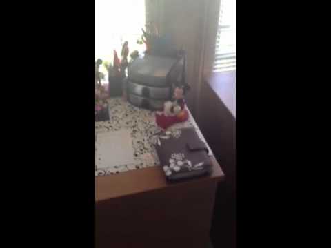 My dorm room-Salley Hall - YouTube